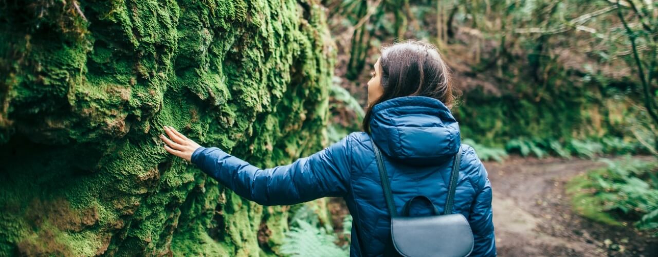 Sustainable Practices within Digital Printing Services - CDP PRINT ...